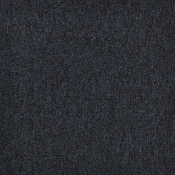 First Forward – Sisal Carpet