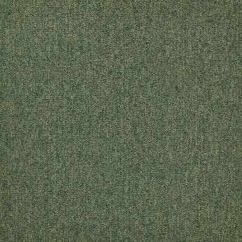 First Forward – Sisal Carpet