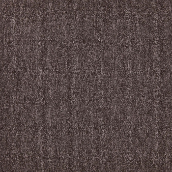 First Forward – Sisal Carpet